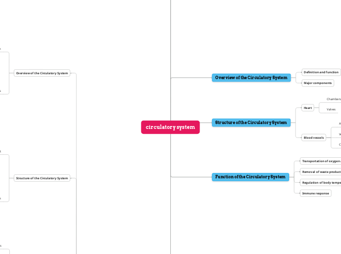 circulatory system - Mind Map