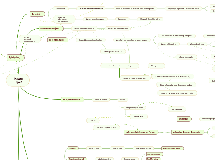 Diabetes tipo 2 - Mind Map