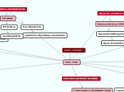 JEAN PIAGET - Concept Map