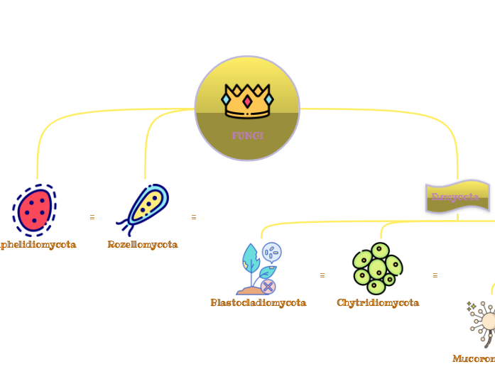 FUNGI - Mind Map