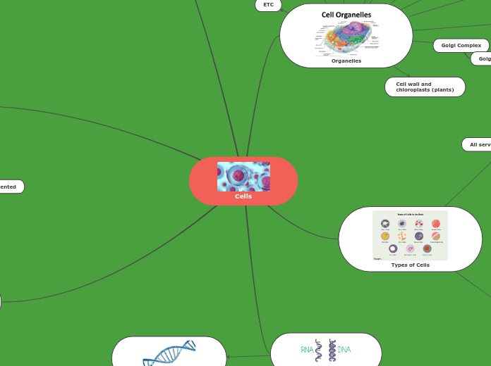 Cells - Mind Map