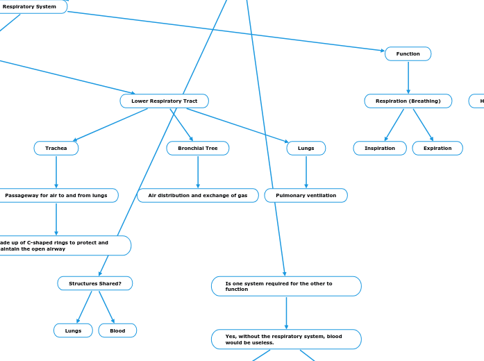 Respiratory System Concept Map