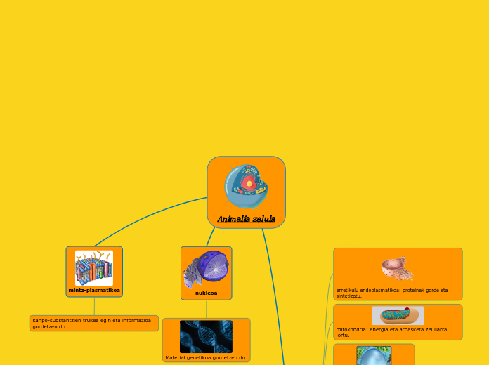 Animalia zelula - Mind Map