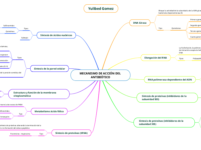 MECANISMO DE ACCIÓN DEL ANTIBIÓTICO - Mind Map