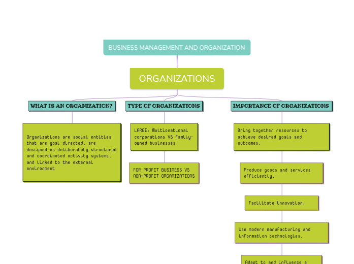 BUSINESS MANAGEMENT AND ORGANIZATION | Mindomo Mind Map