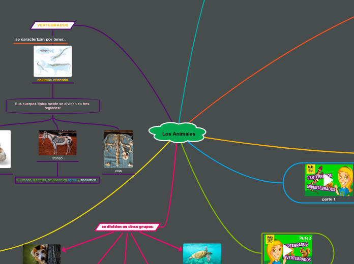 Los Animales - Mind Map