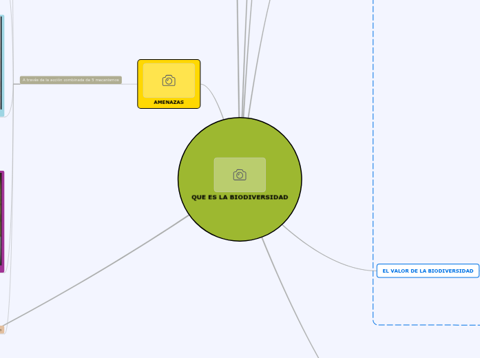 QUE ES LA BIODIVERSIDAD - Mind Map