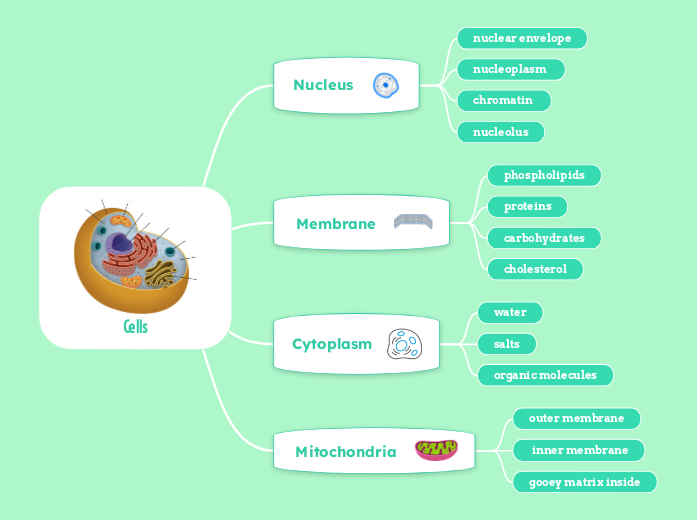 Cells brace map - Mind Map