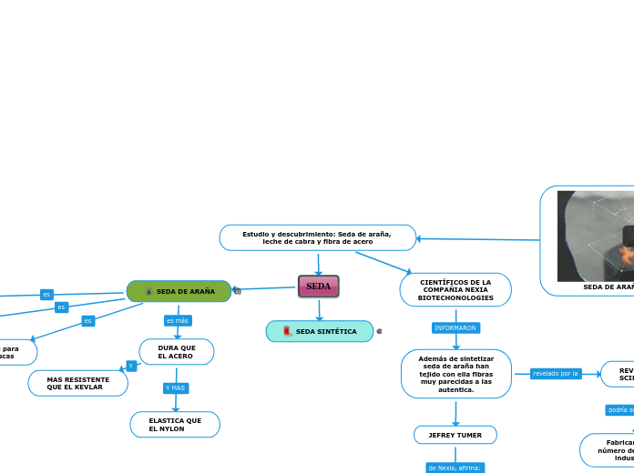 Estudio y descubrimiento: Seda de araña, l...- Mind Map
