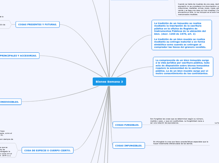 Bienes Semana 3 - Mind Map