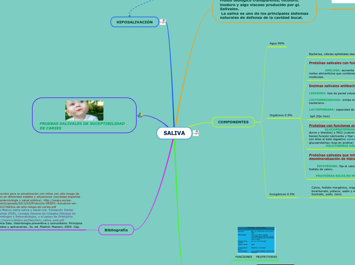 SALIVA - Mind Map