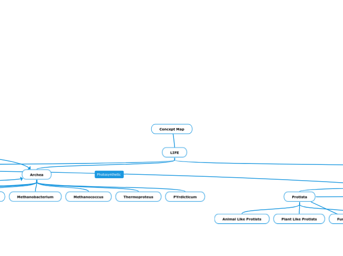 Concept Map - Mind Map