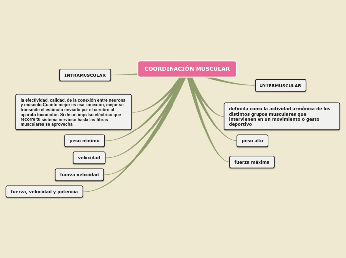 Sample Mind Map - Mind Map