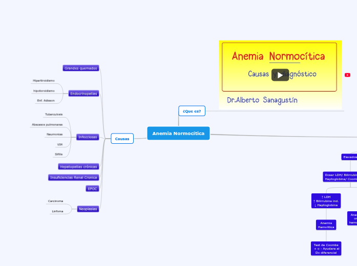 Anemia Normocítica - Mind Map