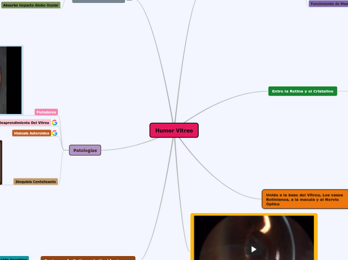 Humor Vitreo - Mind Map