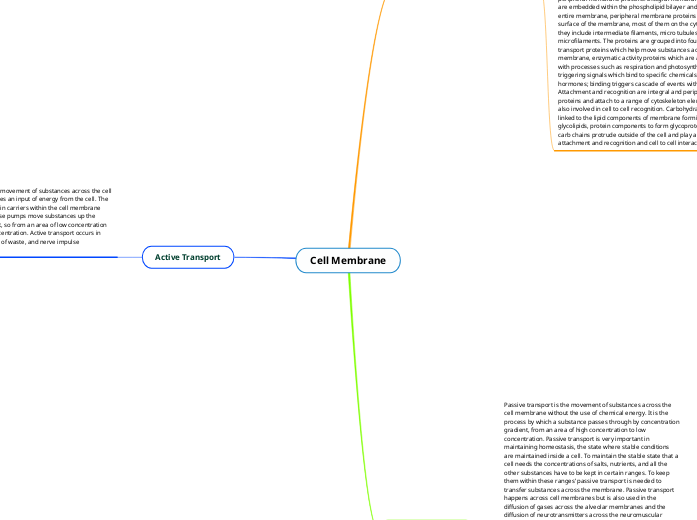 Cell Membrane - Mind Map