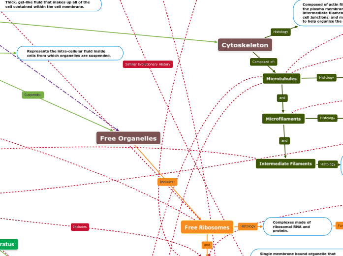 Cell Structures and Functions - Mind Map