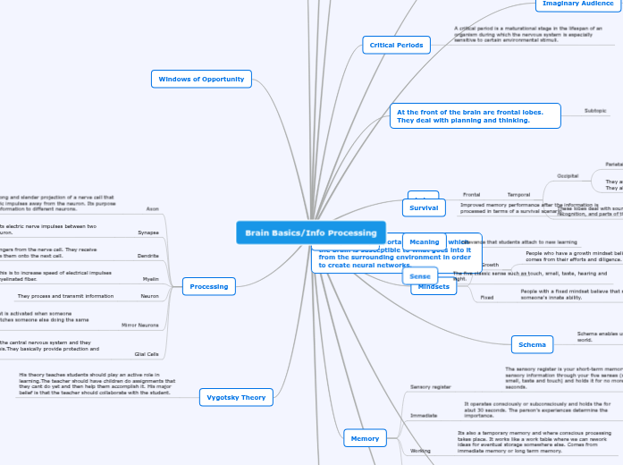 Brain Basics/Info Processing - Mind Map