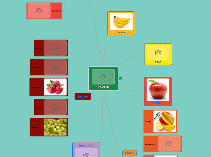 FRUITS - Mind Map