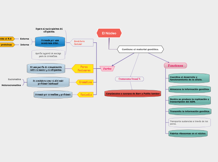 El Núcleo - Mind Map
