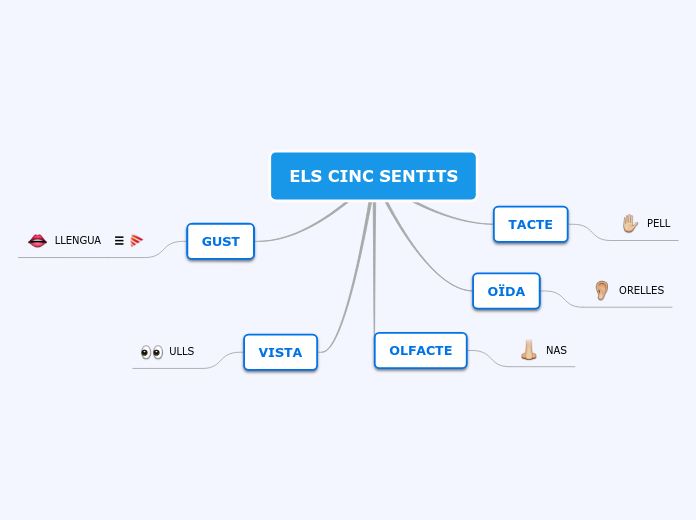 ELS CINC SENTITS - Mind Map