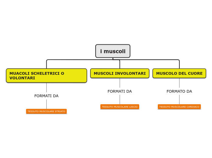 i muscoli - Mind Map