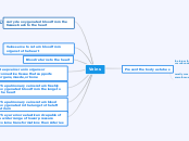 Veins - Mind Map