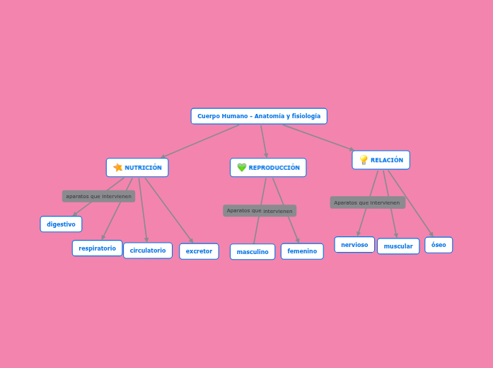 Cuerpo Humano - Anatomía y fisiología - Mind Map
