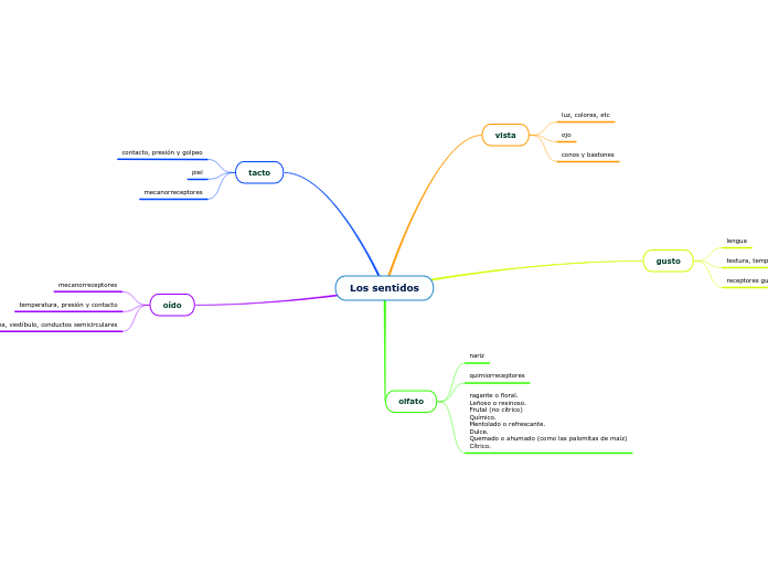 Los sentidos - Mind Map