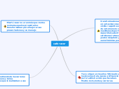 cafe racer - Mind Map