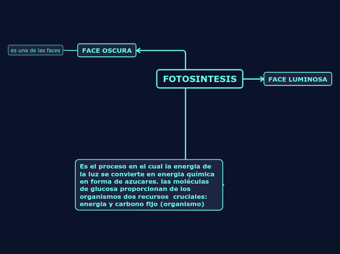 FOTOSINTESIS - Mind Map
