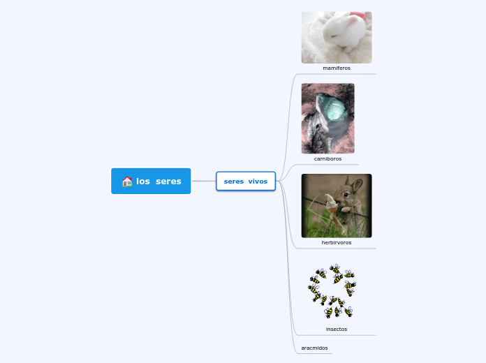 los seres - Mind Map