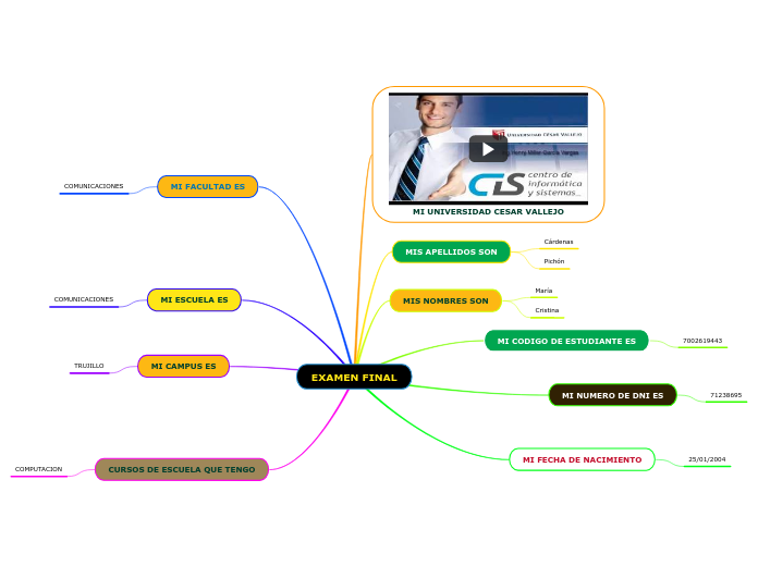 EXAMEN FINAL - Mind Map