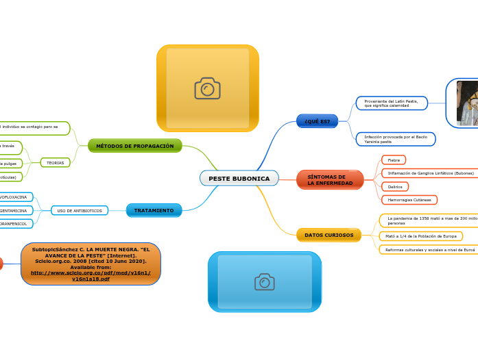 PESTE BUBONICA - Mind Map