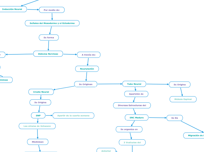 MORFO GÉNESIS - Mind Map