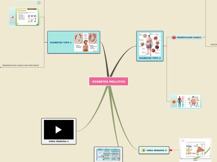 DIABETES MELLITUS MAPA MENTAL - Mind Map