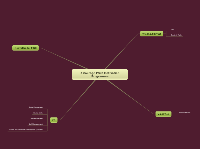 6 Courage PSLE Motivation Programme - Mind Map