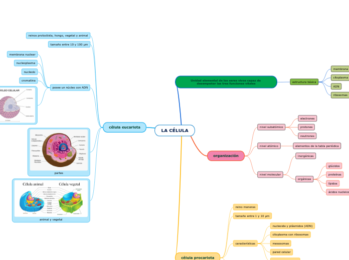 LA CÉLULA - Mind Map