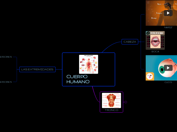 CUERPO HUMANO - Mind Map