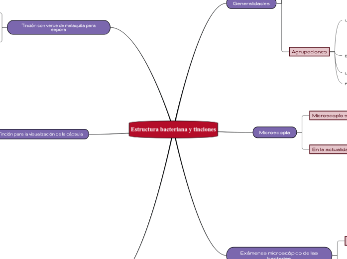 Estructura bacteriana y tinciones - Mind Map