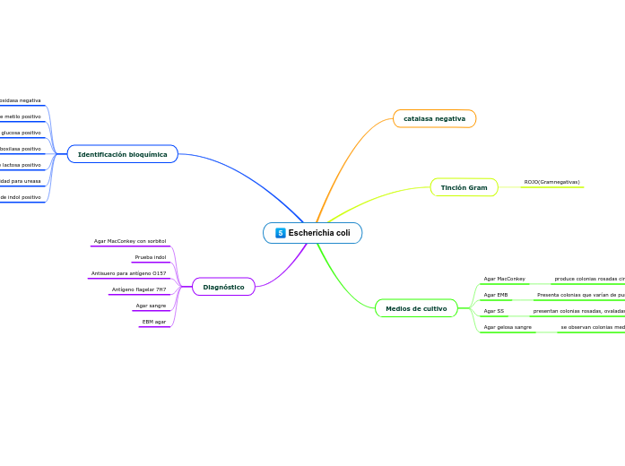 Escherichia coli - Mind Map
