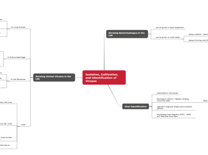Isolation, Cultivation, and Identification...- Mind Map