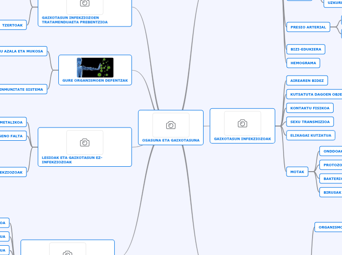 OSASUNA ETA GAIXOTASUNA - Mind Map