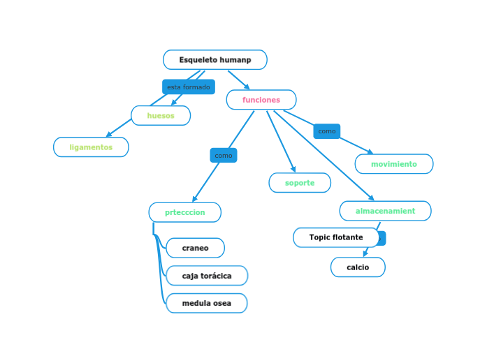 Esqueleto humanp - Mind Map
