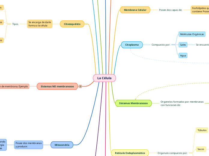 La Célula - Mind Map