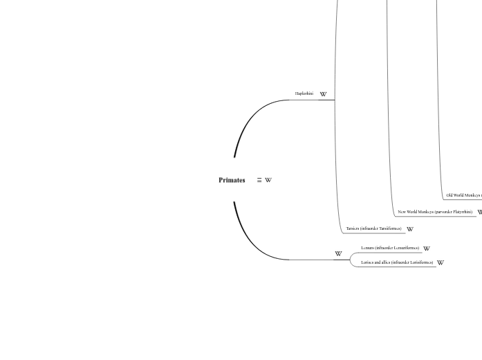 Primates - Mind Map