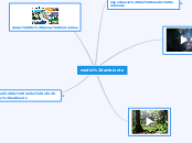 medio ambiente - Mind Map