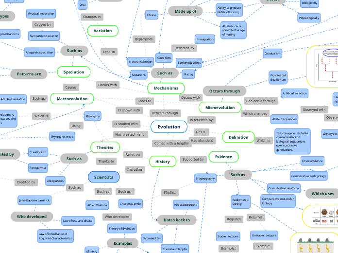 Evolution - Mind Map
