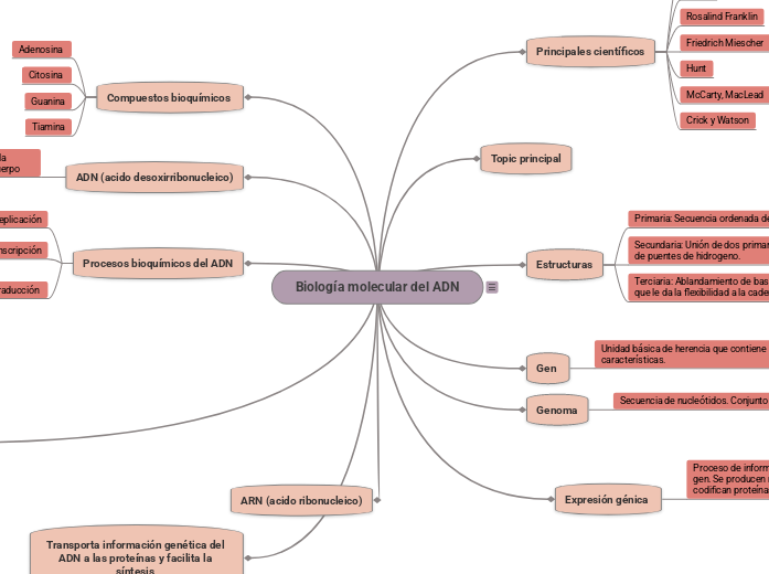 Biología molecular del ADN - Mind Map