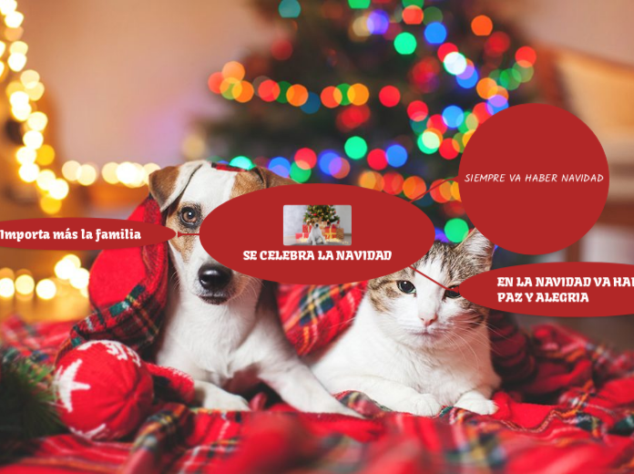 SE CELEBRA LA NAVIDAD - Mind Map